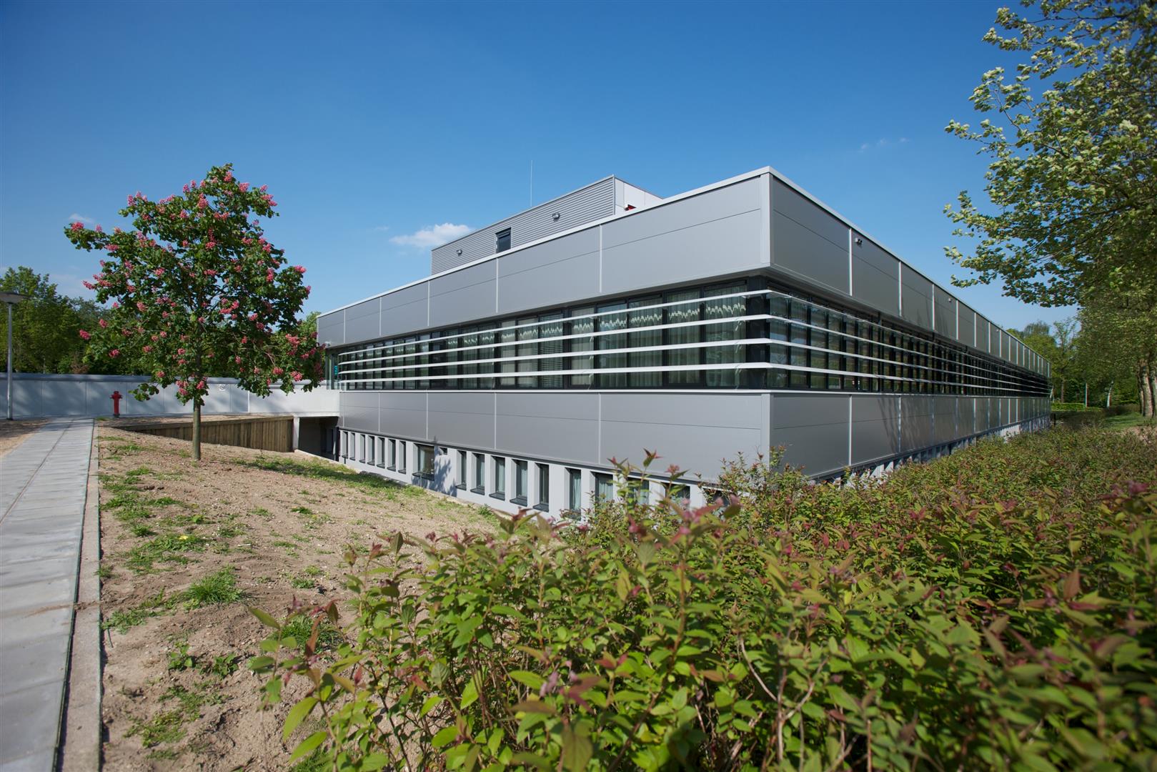 Transitorium Radboud Universiteit - Giesbers